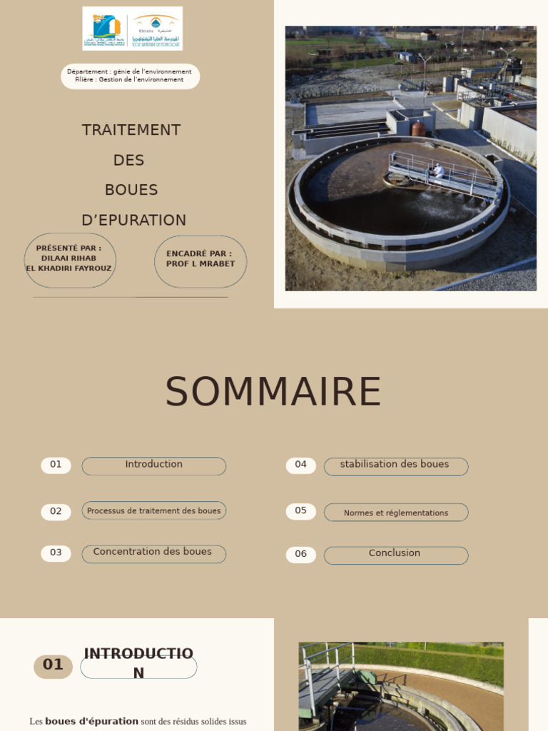 Traitement Des Boues | PDF | Épuration des eaux | Biogaz