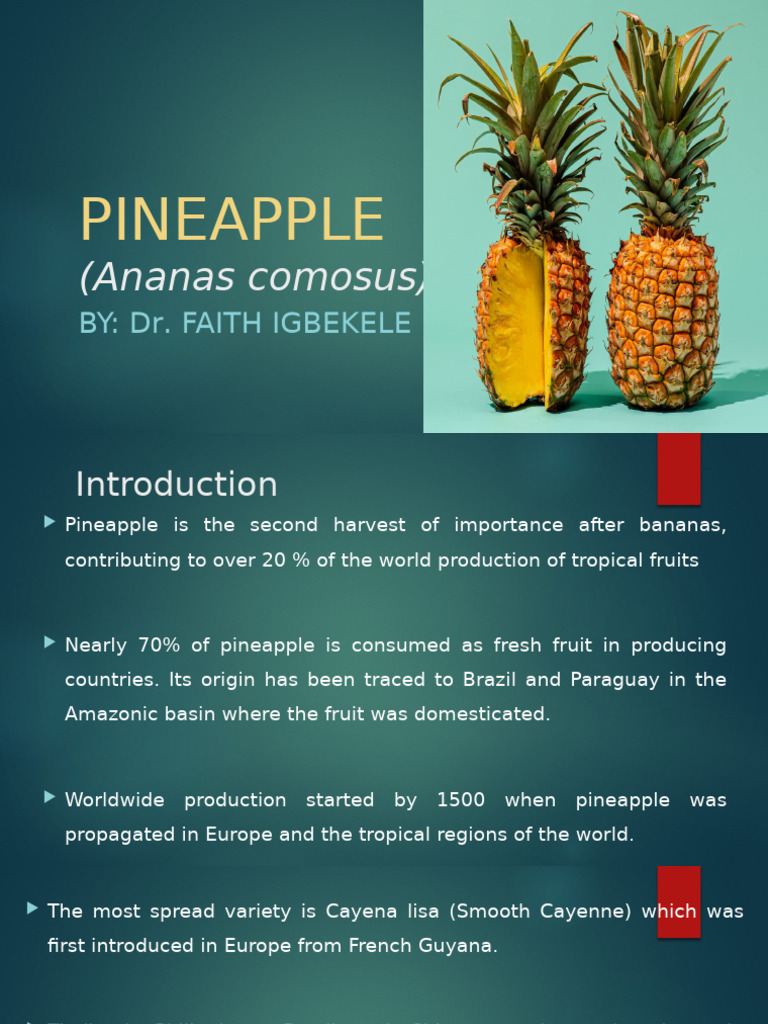 Pineapple Note Aadc | PDF | Pineapple | Leaf