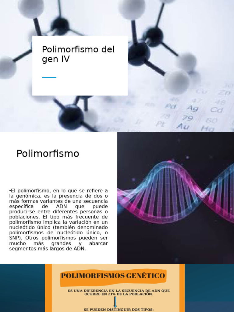 Polimorfismo Genético y Mutaciones | PDF