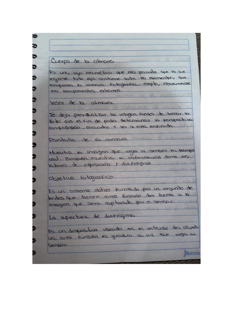 Mapa Conceptual Act. 11 | PDF