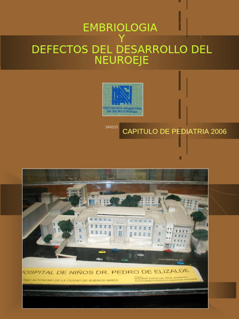 Embriología y Defectos del Neuroeje | PDF | Sistema nervioso ...
