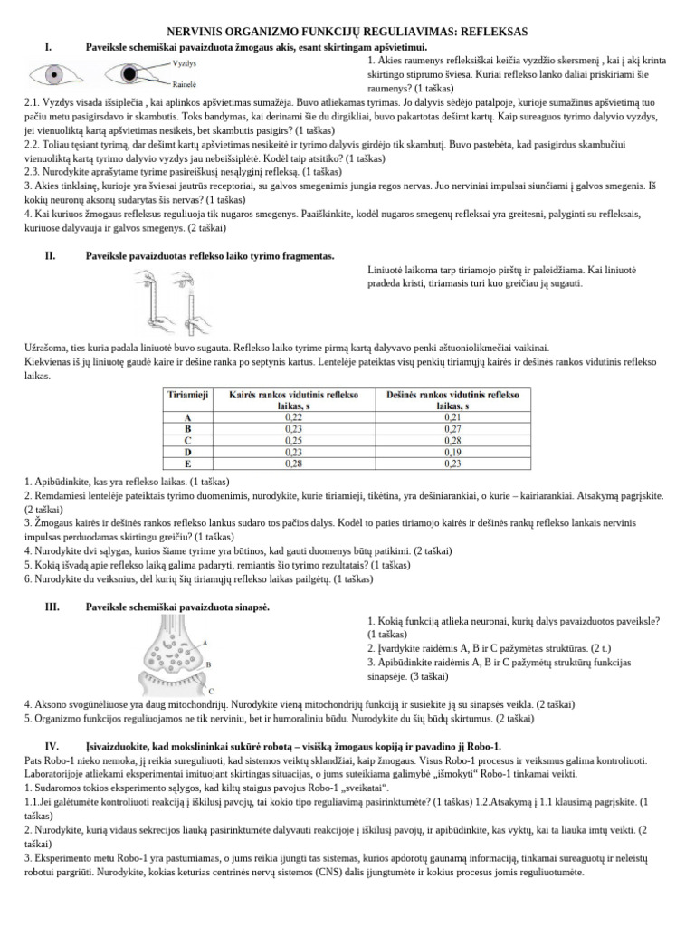 Refleksas - 2025 - Kopija | PDF