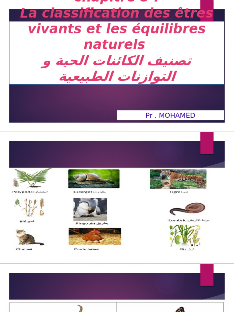 Classification des êtres vivants F.Z.H-1 | PDF | Forêt | Plantes