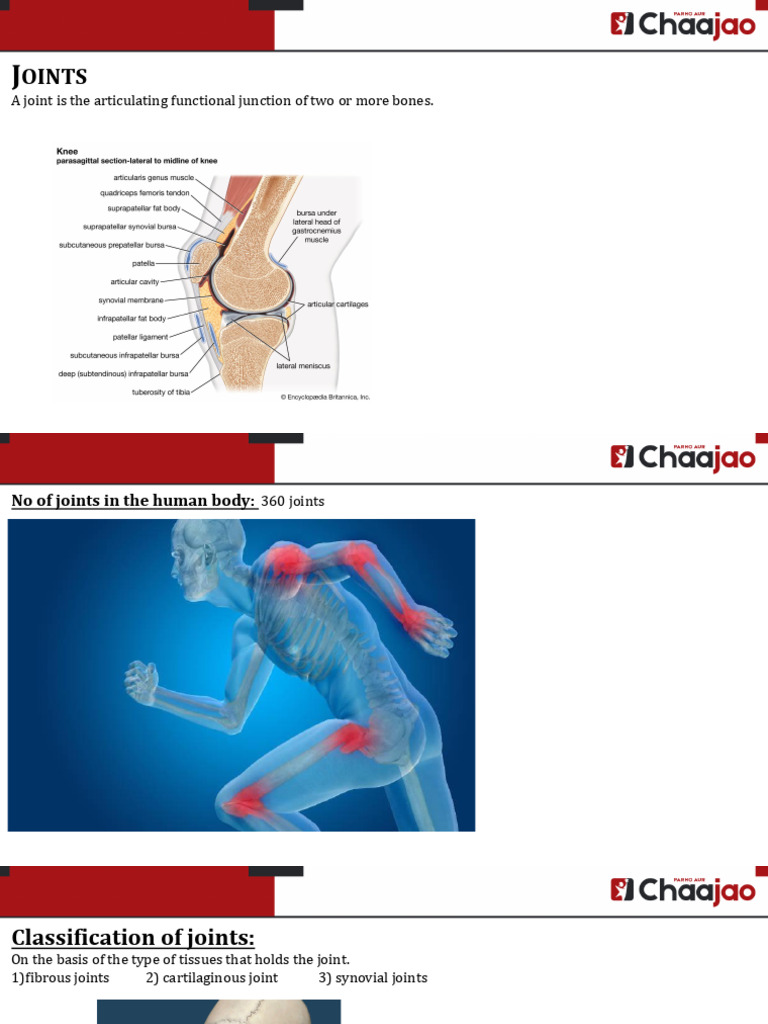 joints and disorders | PDF | Vertebral Column | Joint