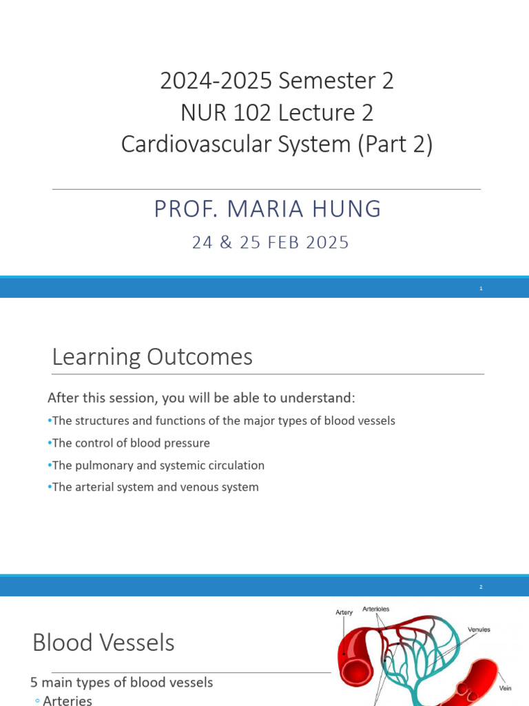 Lecture 4 Cardiovascular System Part 2 Student 2425Feb25 | PDF | Vein ...