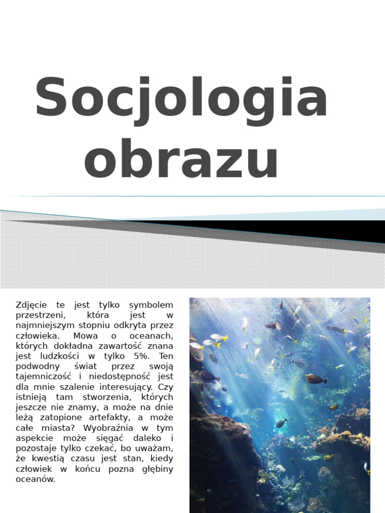 Socjologia Obrazu | PDF