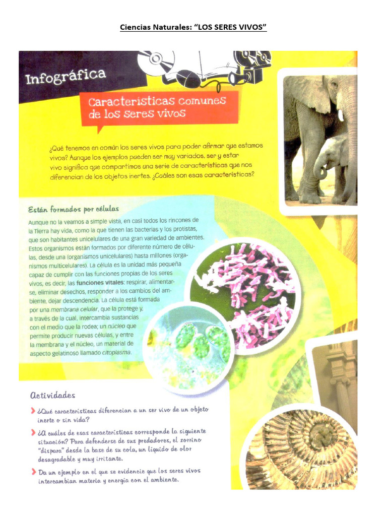 Ciencias Naturales LOS SERES VIVOS 1 | PDF