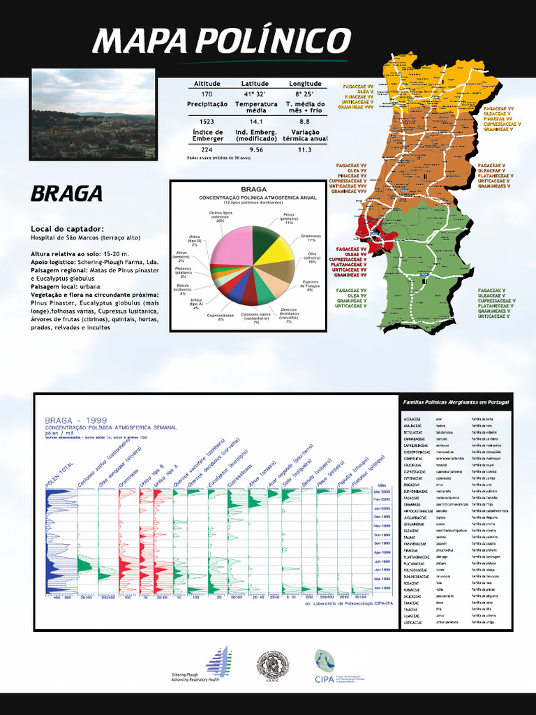 Braga | PDF