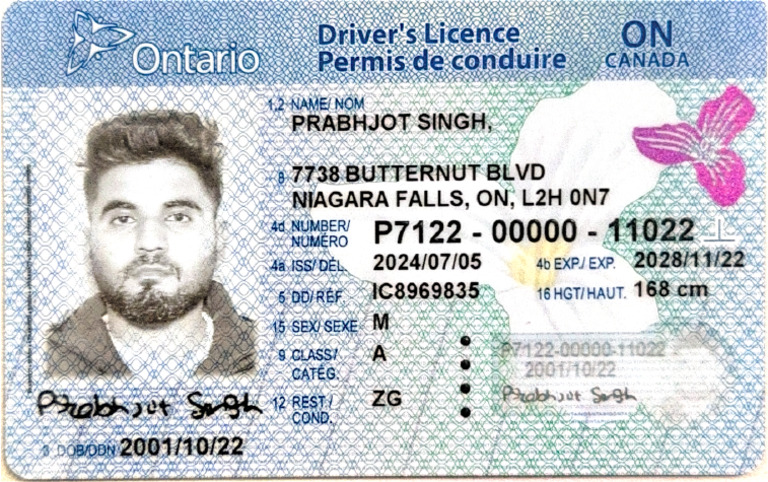 Driver's Licence | PDF
