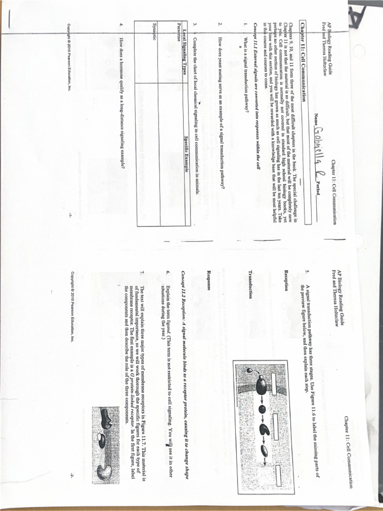 AP Biology Reading Guide | PDF