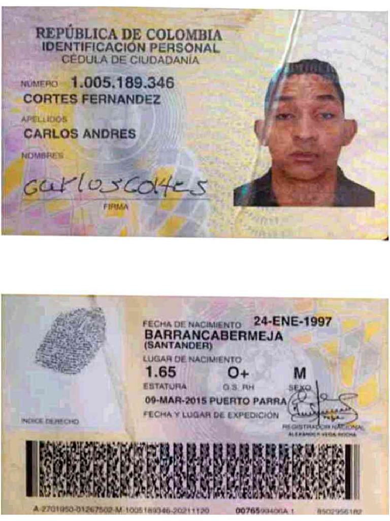 Cédula de Carlos | PDF