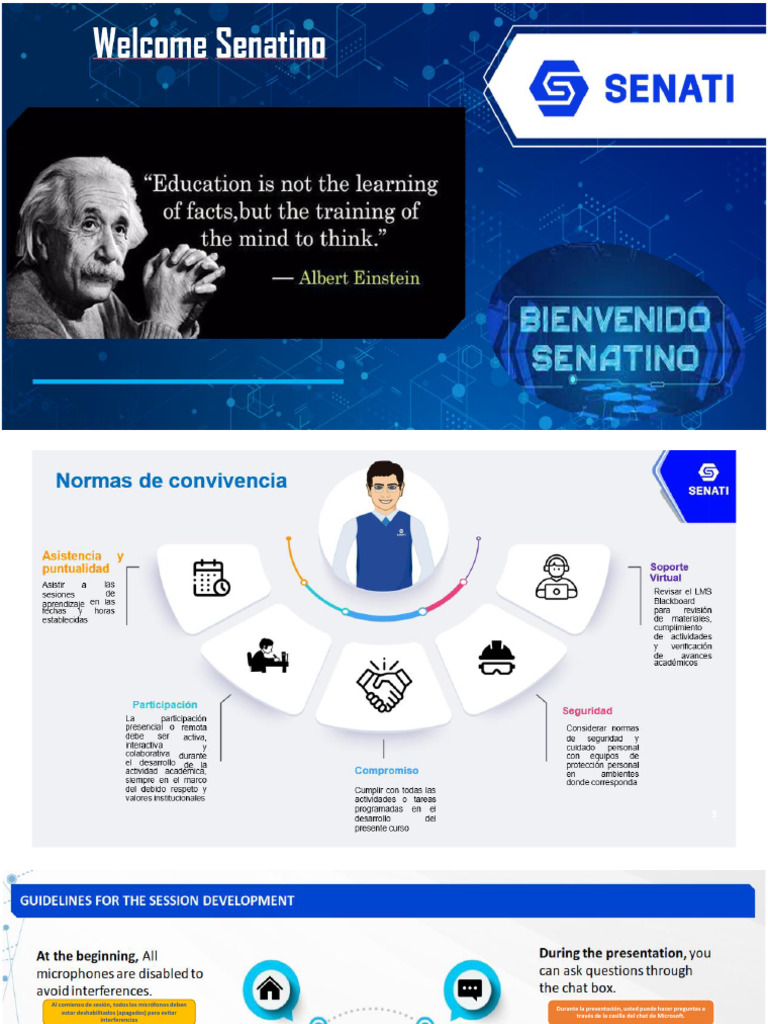 Normas para Sesiones en Línea | PDF