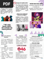 Norma Oficial Mexicana Nom-046-Ssa2-2005. Violencia Familiar, Sexual y Contra Las Mujeres ...