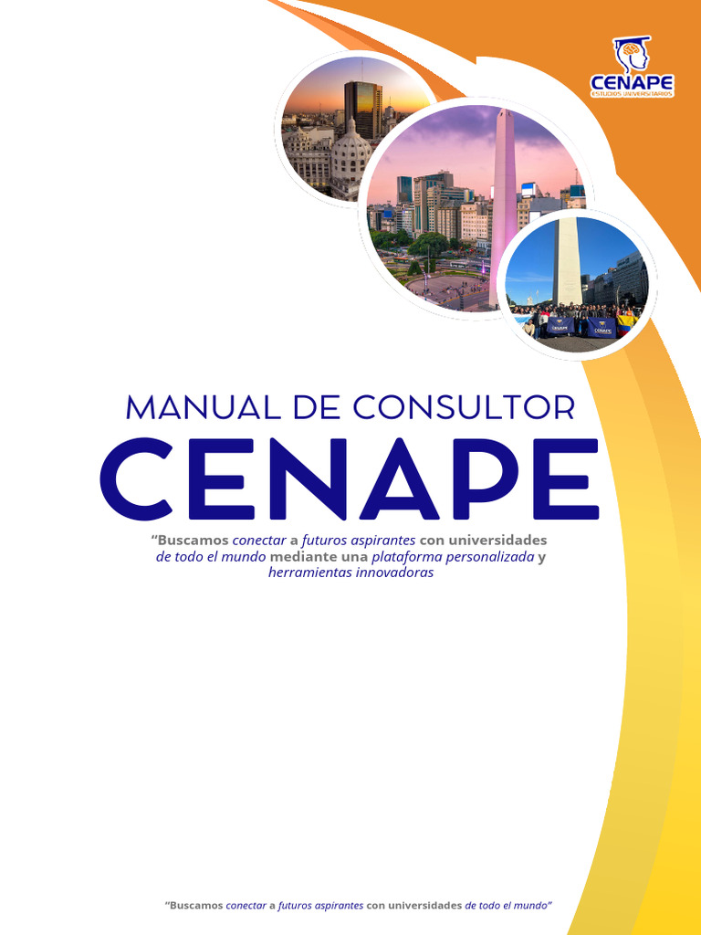 Manual CONSULTOR | PDF | Información | Red mundial