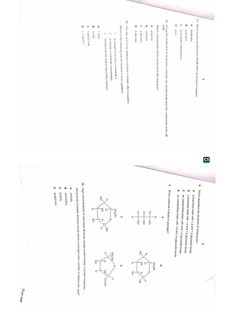 Heritage Studies Notes | PDF