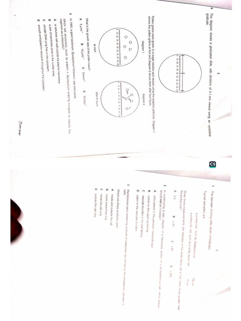 Shona Language | PDF