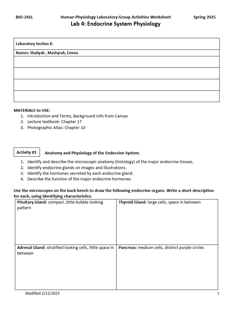 Bio-241L 04 Endocrine System Group Activities | PDF | Endocrine System ...