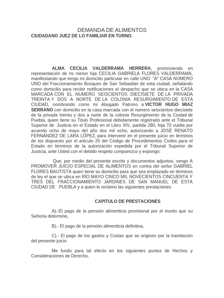 Formato de Demanda de Alimentos - Puebla | PDF | Pensión alimenticia