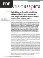Earthworm Acute Toxicity Testing Guide | PDF | Soil | Solvent