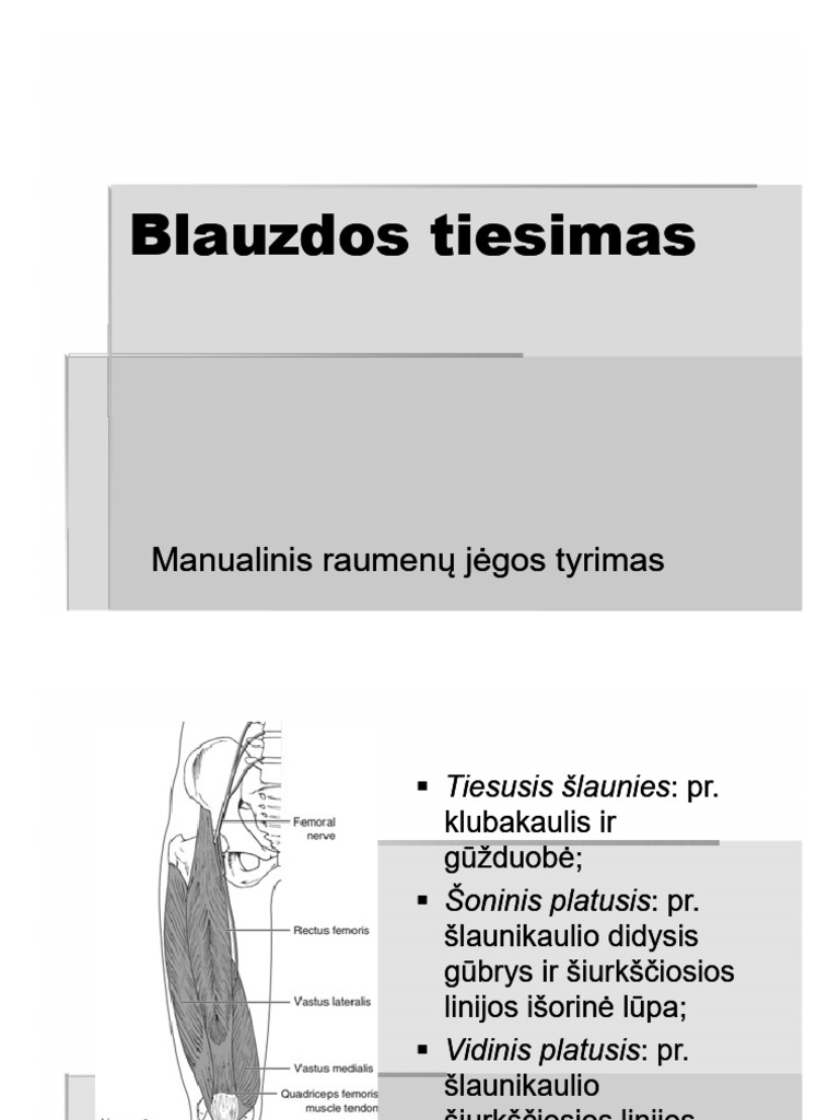Blauzda Peda MMT | PDF