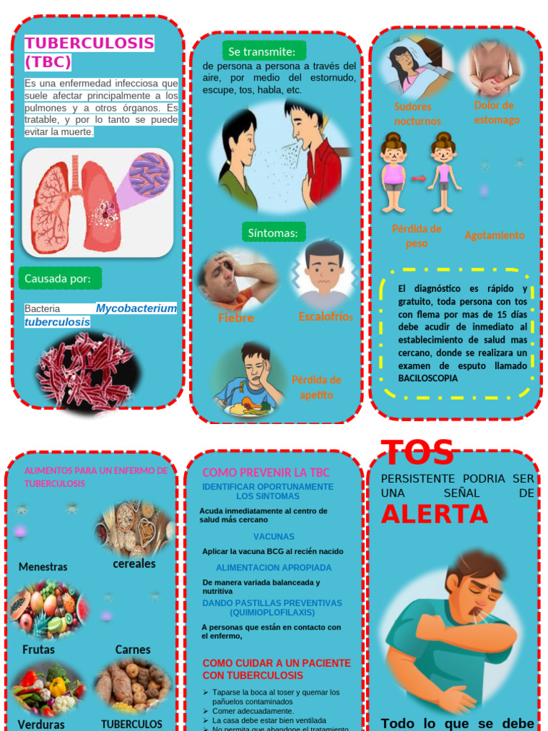 TRIPTICO[1] | PDF | Tuberculosis | Ciencias de la Salud