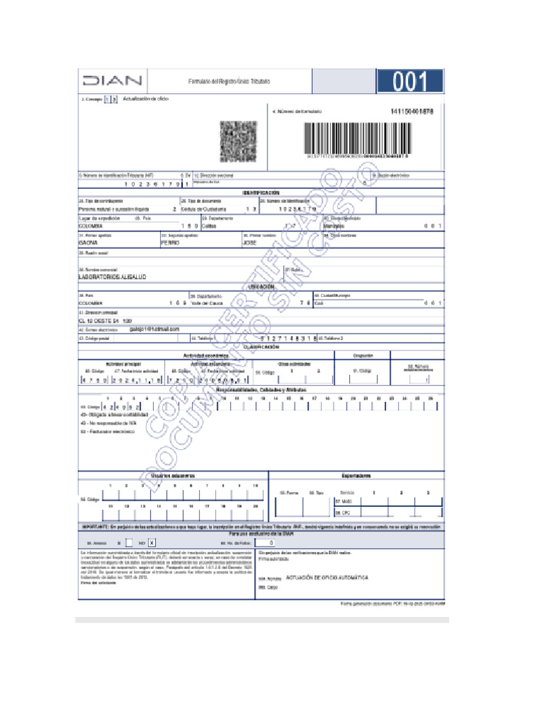 Rut Actualizado | PDF