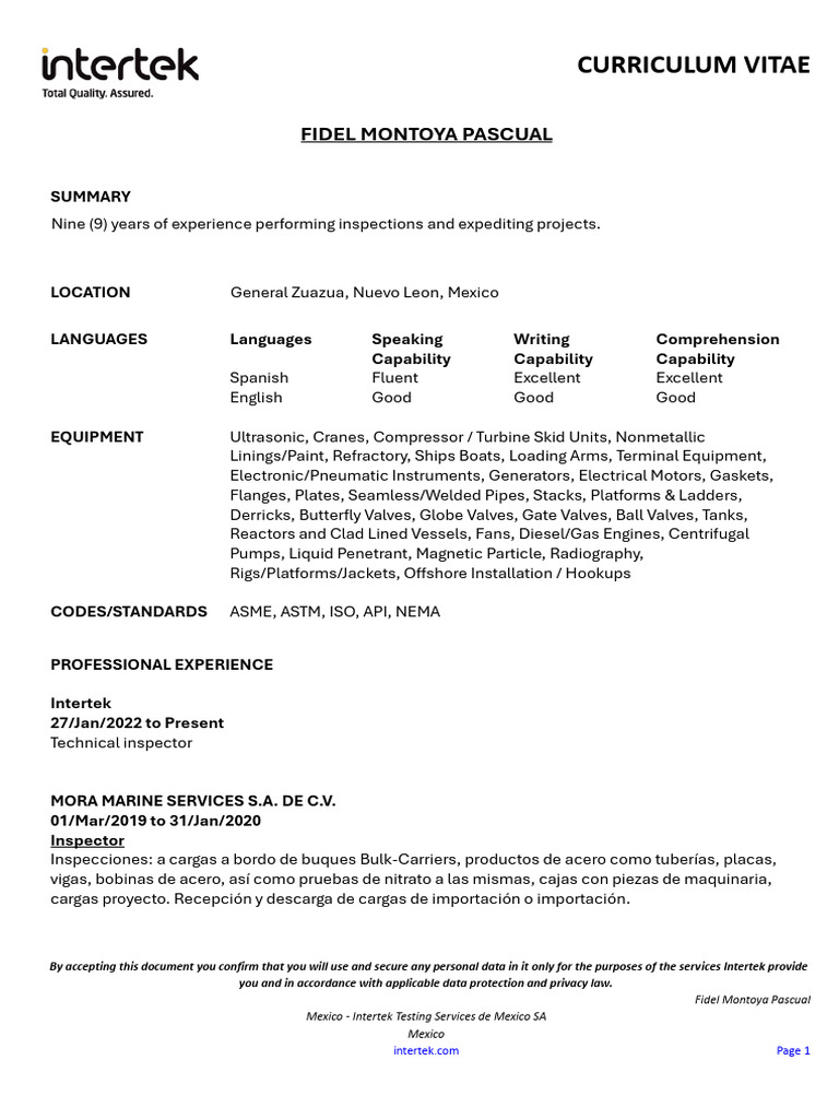 Currículum de Fidel Montoya Pascual | PDF | Materiales | Gases