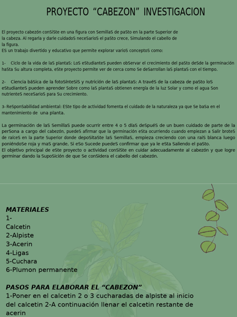 PROYECTO “CABEZON” INVESTIGACION MATERIALES 1-Calcetin 2-Alpiste 3-Acerin 4-Ligas 5-Cuchara 6 ...