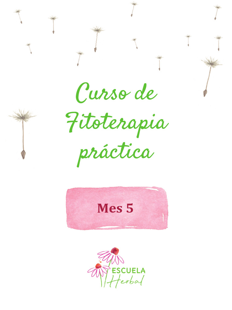 Propiedades y Usos de la Alfalfa | PDF | Alfalfa | Perdida de cabello