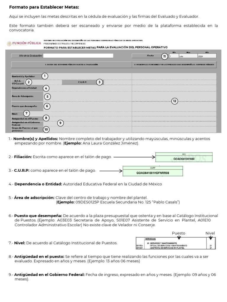 Manual Llenado Formato Metas | PDF