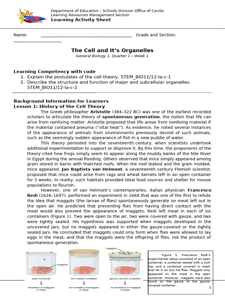 LAS GENERAL BIOLOGY 1 Week 1 | PDF | Endoplasmic Reticulum | Cell (Biology)