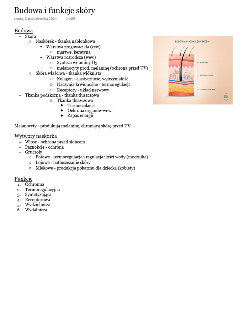 Budowa I Funkcje Skóry | PDF