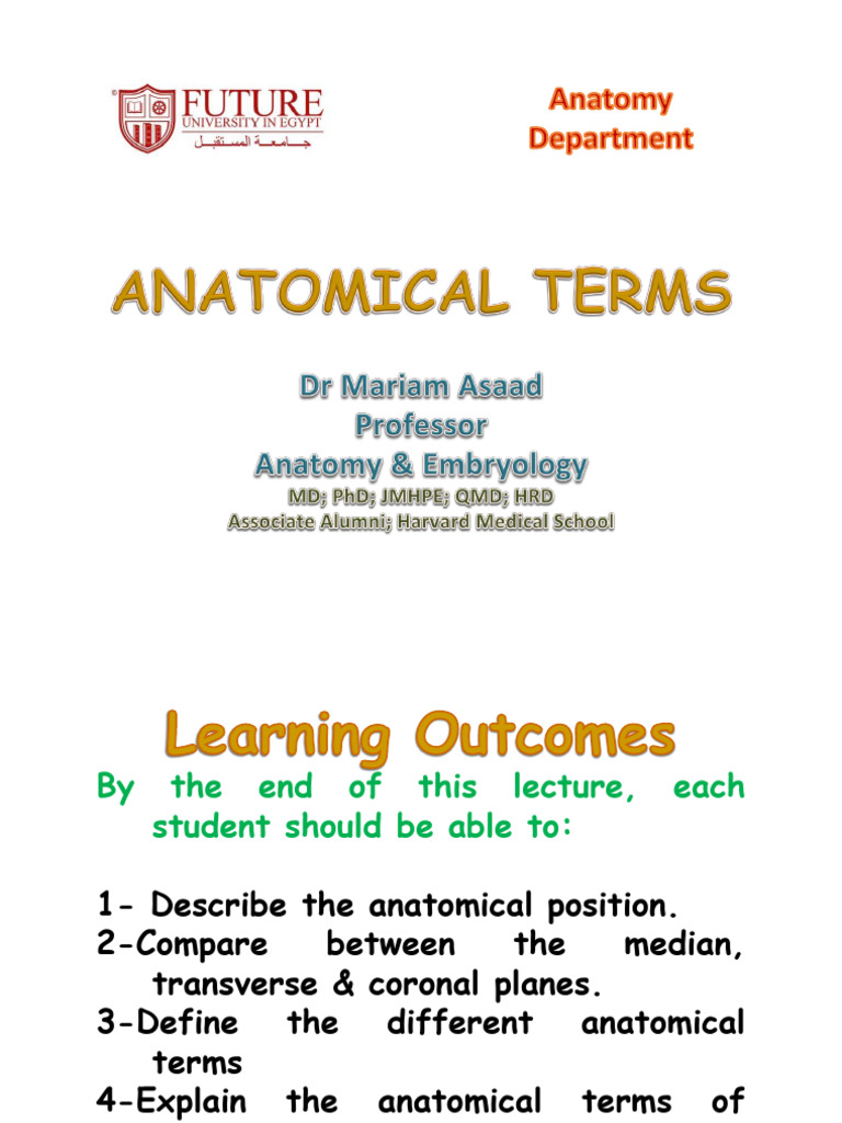 Anatomical Terms and Movements Guide | PDF | Anatomical Terms Of Motion ...