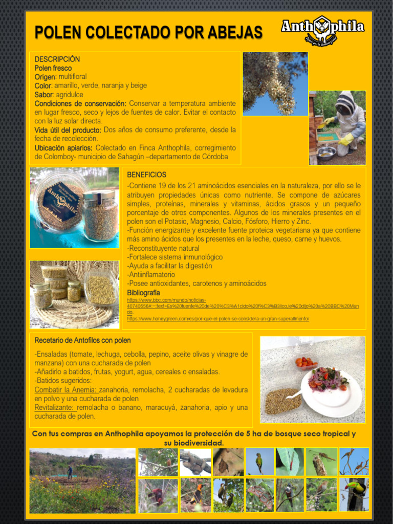 Polen de Abejas: Beneficios y Usos | PDF | Zanahoria | Proteínas