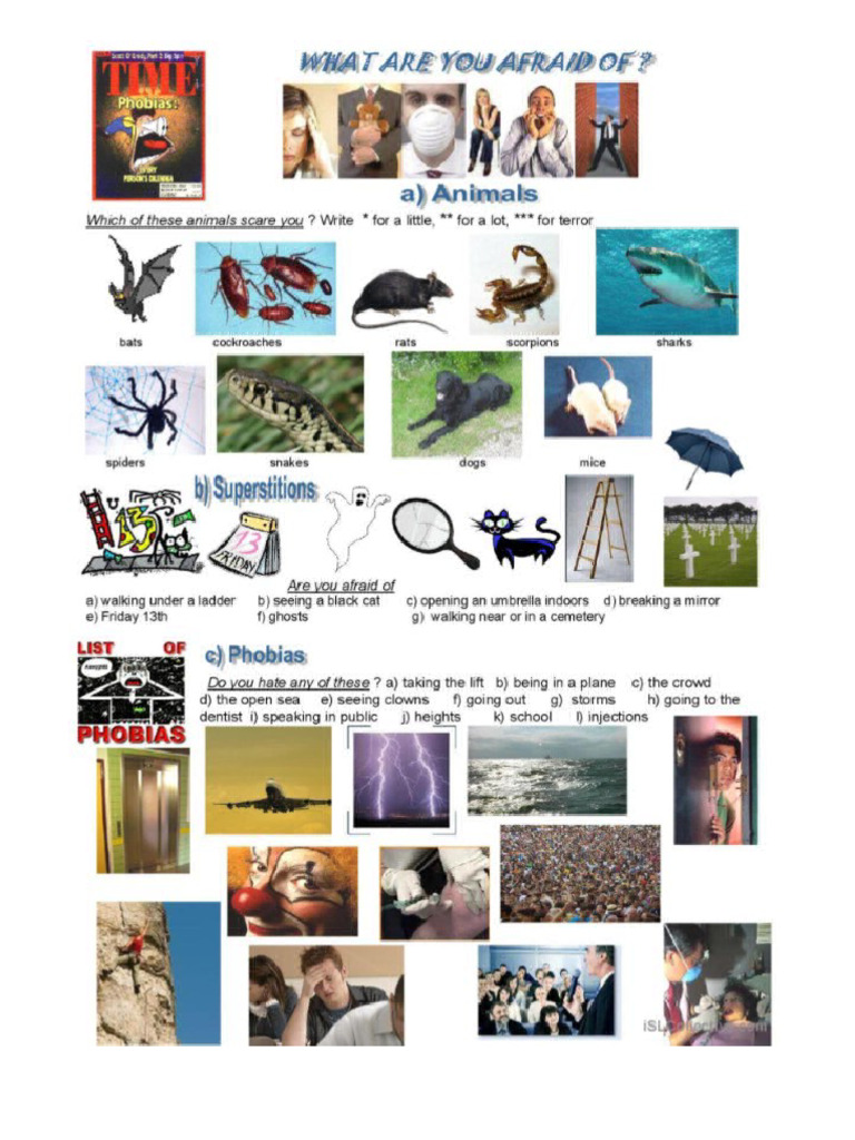 Fear Vocabulary | PDF