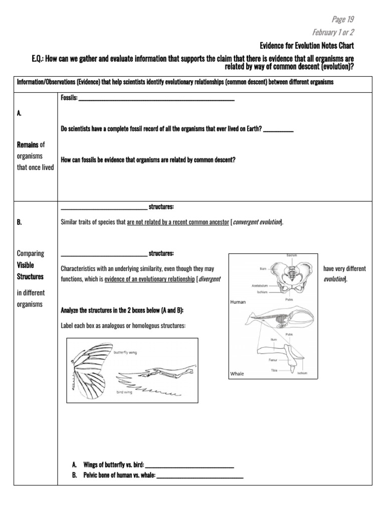 Evidence for Evolution Student Notes Chart (1) | PDF | Evolution ...