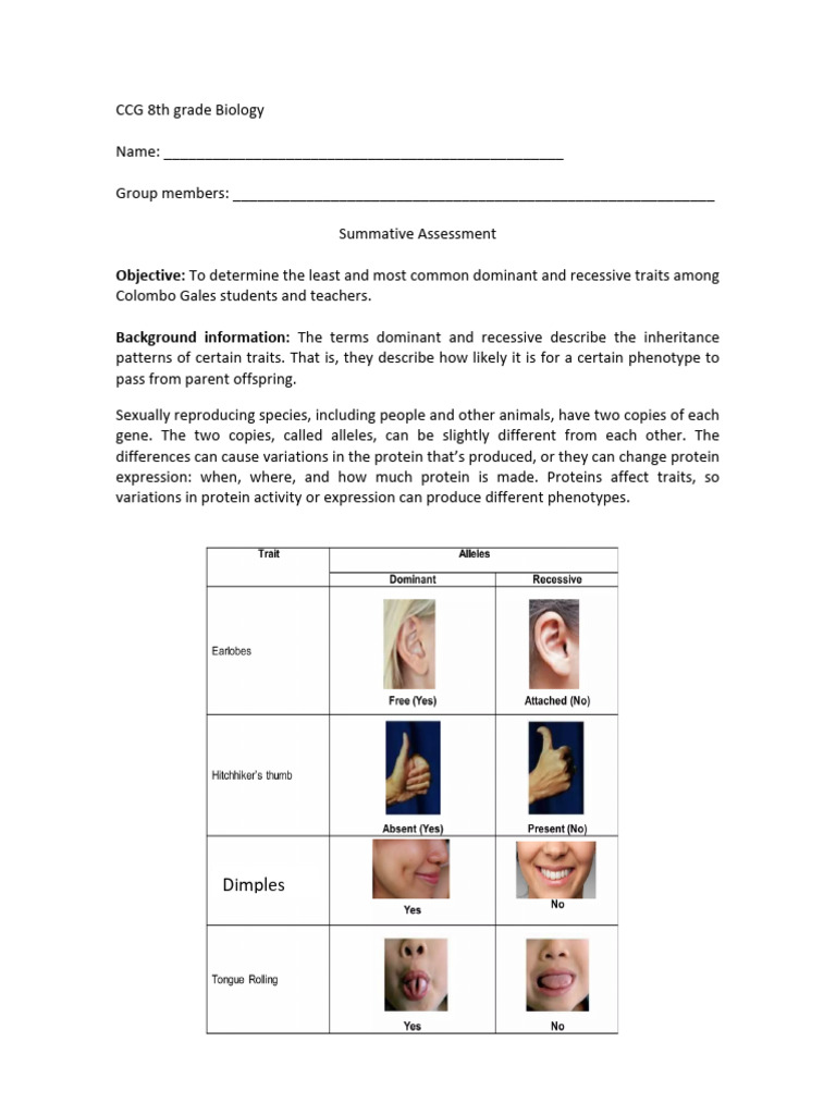 Summative+Assessent+8th+Biology+Genetics | PDF | Dominance (Genetics ...