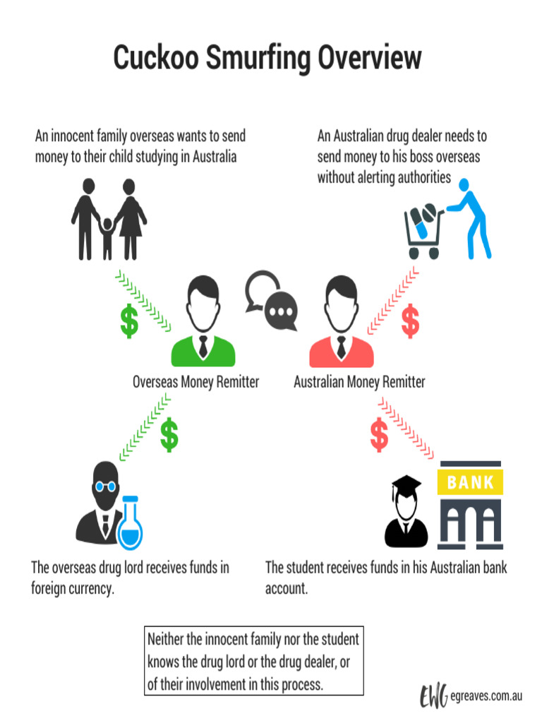 Infographic Cuckoo Smurfing Extended | PDF
