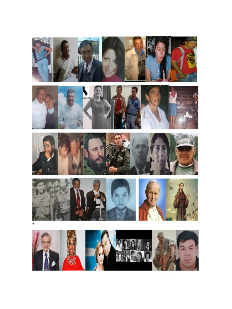 COLLAGE | PDF