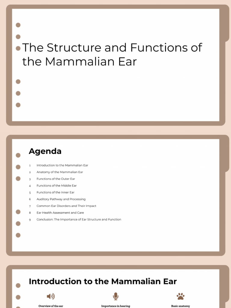 The Structure and Functions of The Mammalian Ear | PDF