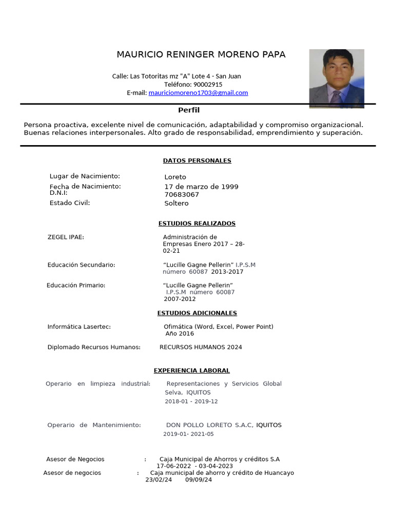 Currículum de Mauricio Reninger Moreno | PDF