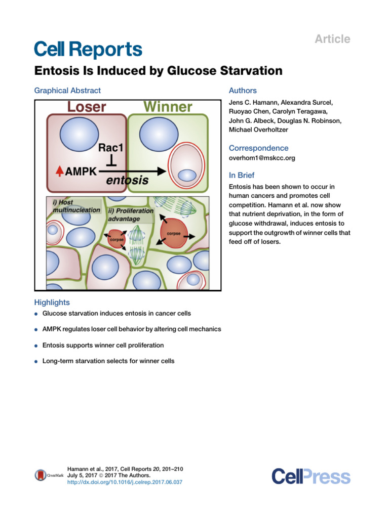 Entosis is Induced by Glucose Starvation | PDF | Apoptosis | Autophagy
