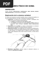 Exploración Física Normal en Consulta de Atención Primaria | PDF ...
