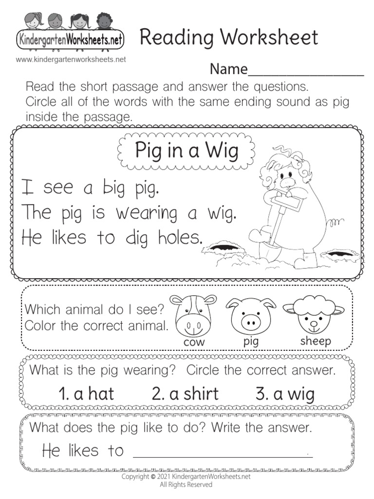 Pig in a Wig Reading Worksheet | PDF