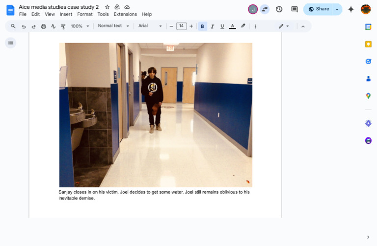 Aice Media Studies Case Study 2 - Google Docs 5 | PDF