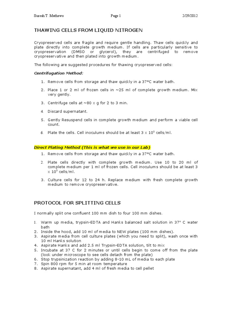 Thawing and Cryopreservation Protocols | PDF | Growth Medium | Cell Culture