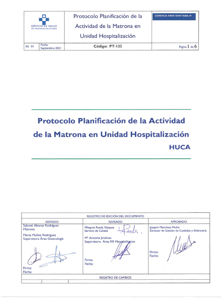 Protocolo Planificacion de La Actividad de La Matrona en Unidad Hospitalizacion | PDF