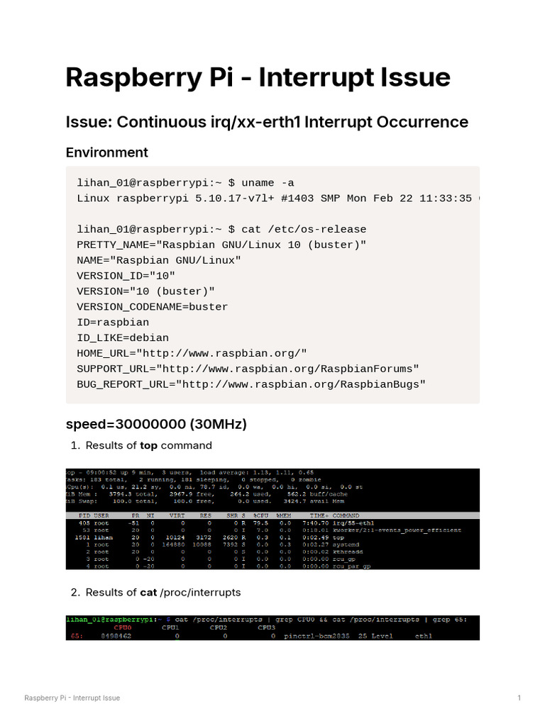 RPI - Interrupt - Issue 1 | PDF