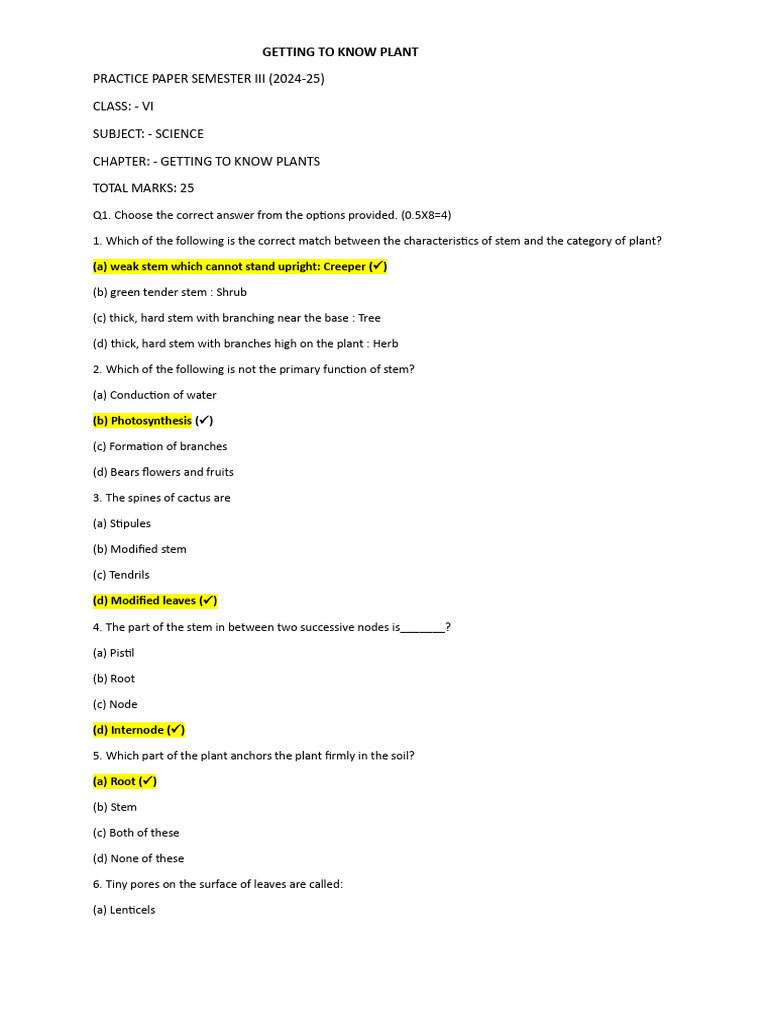 Getting To Know Plant Sem 3 Revision Worksheet | PDF | Leaf | Flowers