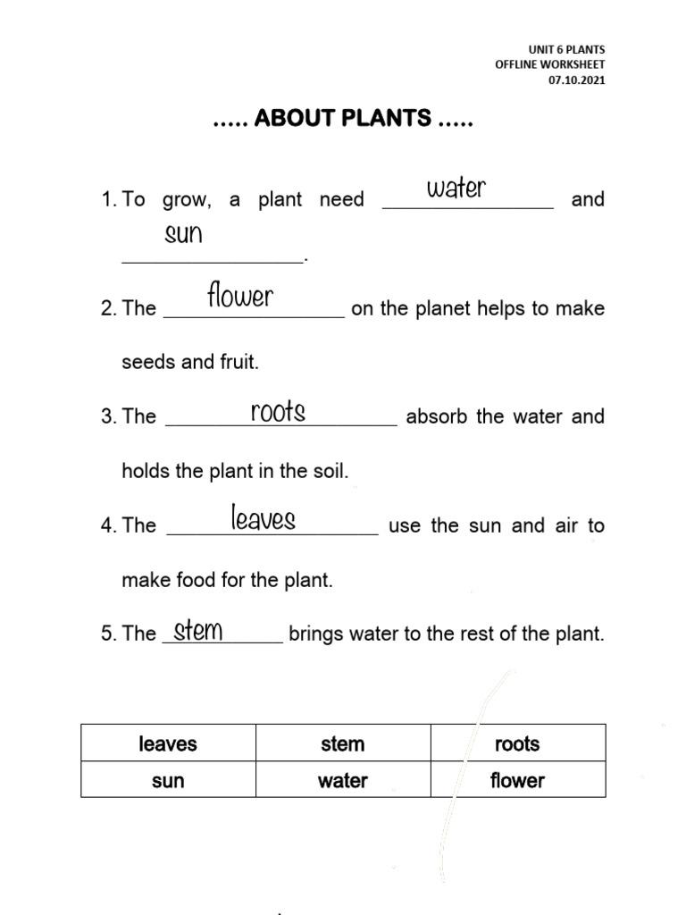 Plant Growth Worksheet for Students | PDF